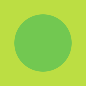 95 Phonics Lesson Library 2.0 | 95 Percent Group