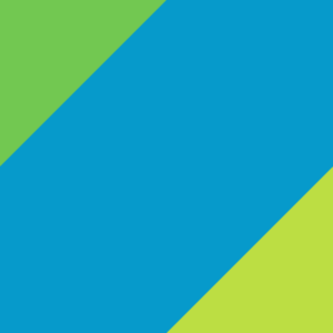 95 Phonics Lesson Library 2.0 | 95 Percent Group