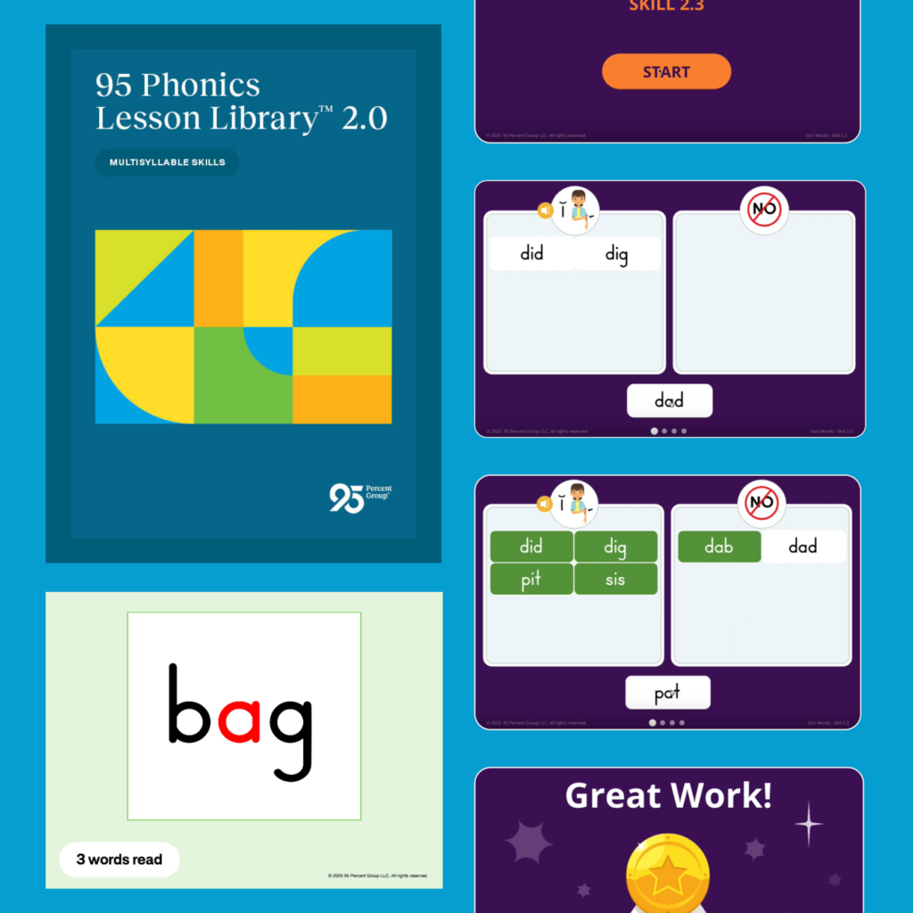 Evidence-Based Literacy Solutions | 95 Percent Group