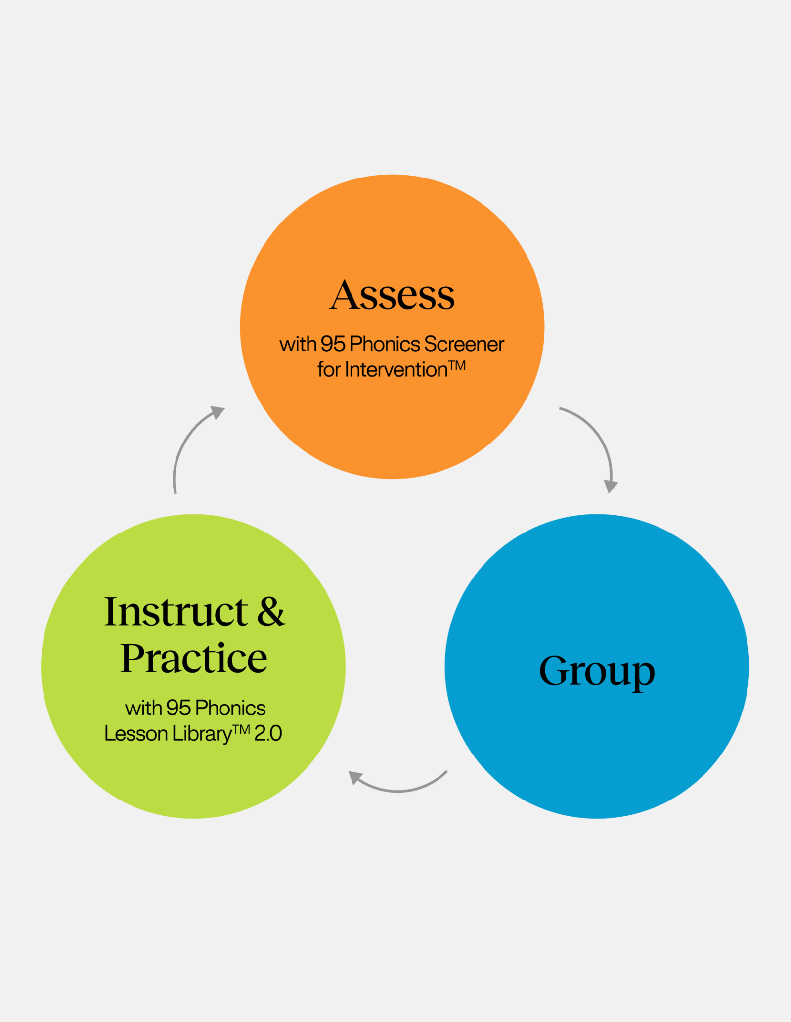 Tier 2 Reading Intervention Program | 95 Percent Group